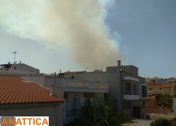 ΦΩΤΙΑ ΟΡΑΤΗ ΣΕ ΡΑΦΗΝΑ ΚΑΙ ΠΙΚΕΡΜΙ Archives - Τα νέα των 13 δήμων της ...