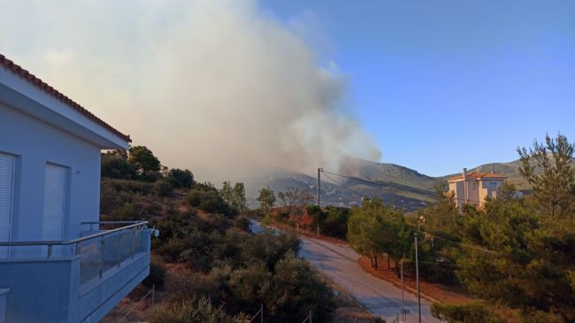 Ποιοι δρόμοι έκλεισαν λόγω της μεγάλης πυρκαγιάς στο Ντράφι – Τα νέα ...