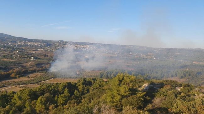 Φωτιά σε δασική έκταση στον Κάλαμο – Τα νέα των 13 δήμων της Ανατολικής ...