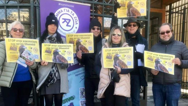 Διαμαρτυρία για την κακοποίηση του αετού Οδυσσέα από την ΠΑΕ ΑΕΚ έξω ...